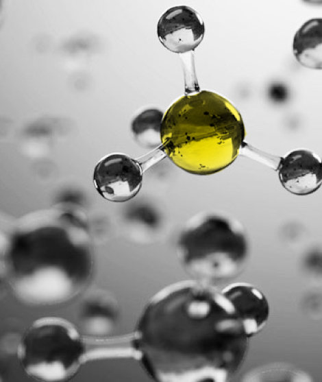 FATRO | Animal Health Your Health